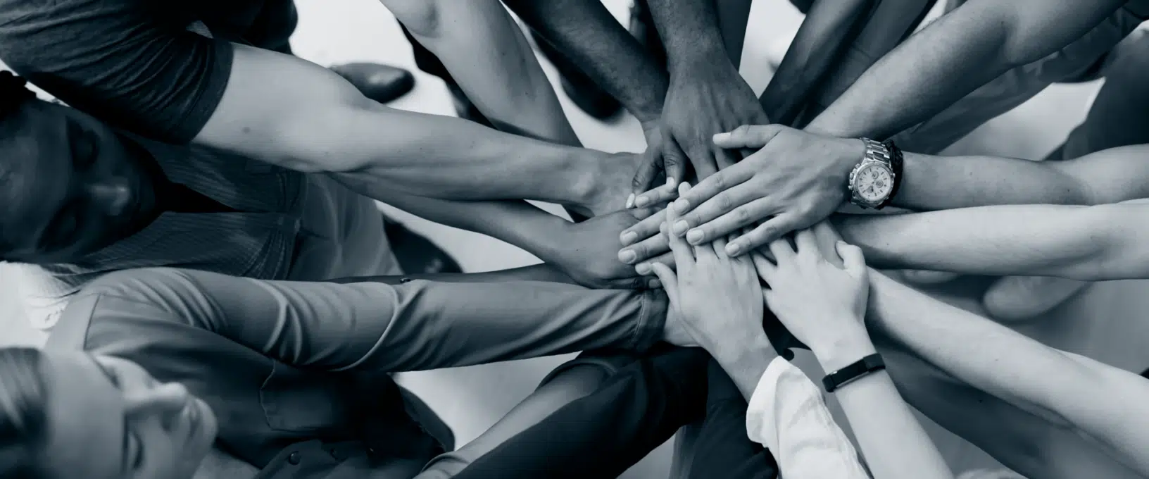 One Novotek - Novotek Group