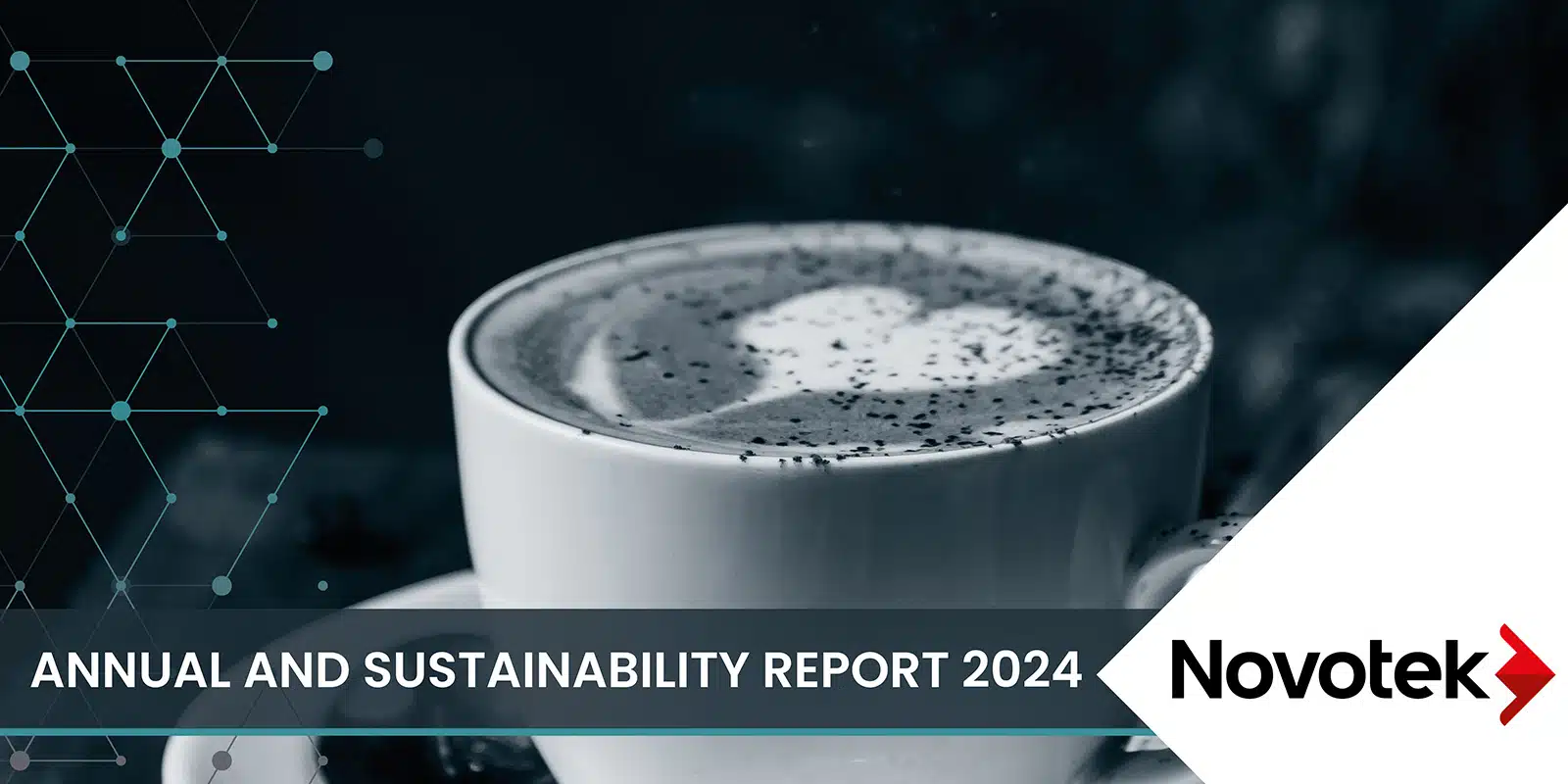 Annual and Sustainability Report 2024 - Novotek Group
